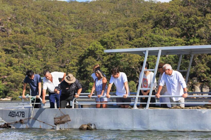Pearl & Oyster Farm Hawkesbury River Cruise - Key Points