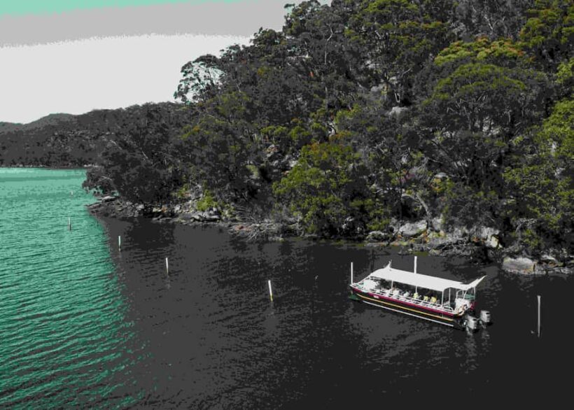 Pearl & Oyster Farm Hawkesbury River Cruise - A Deeper Look at the Pearl & Oyster Farm Hawkesbury River Cruise