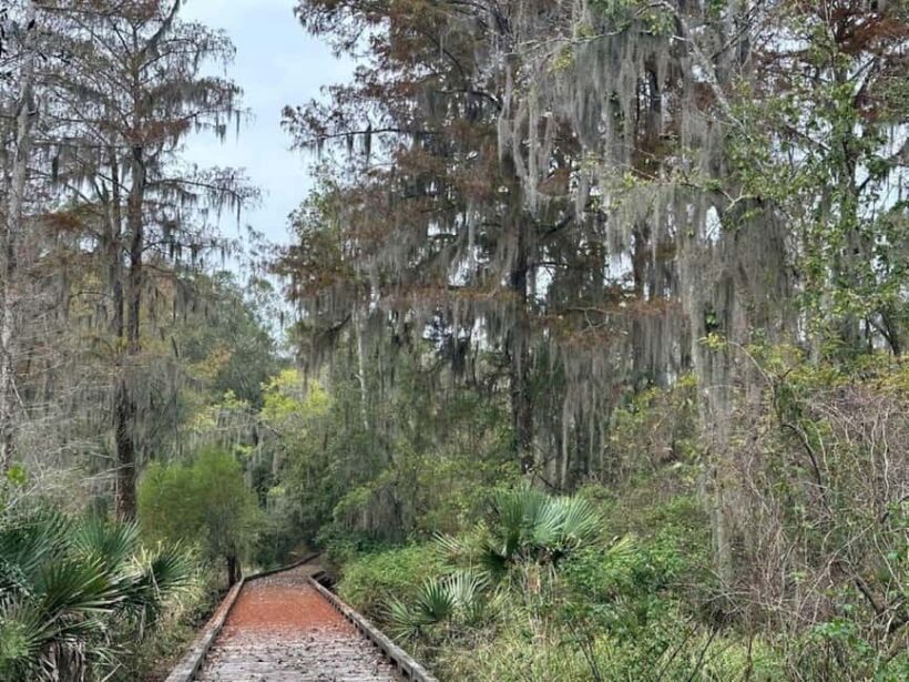Pearlington: Devil's Swamp Eco Walking Tour - Key Points