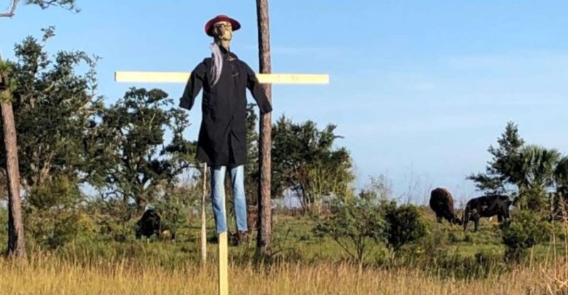 Pearlington, MS: The Haunted Bayou Cruise - The Practicalities and What You Need to Know