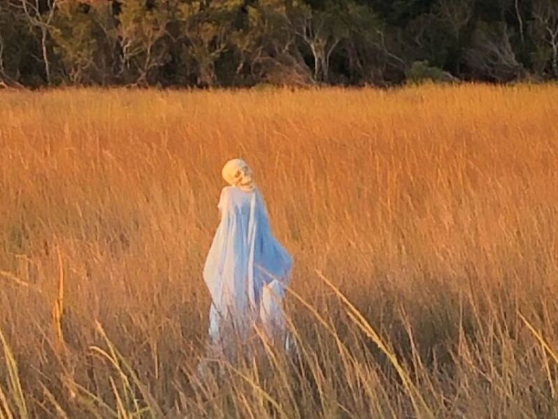 Pearlington, MS: The Haunted Bayou Cruise - What Makes This Tour Stand Out?