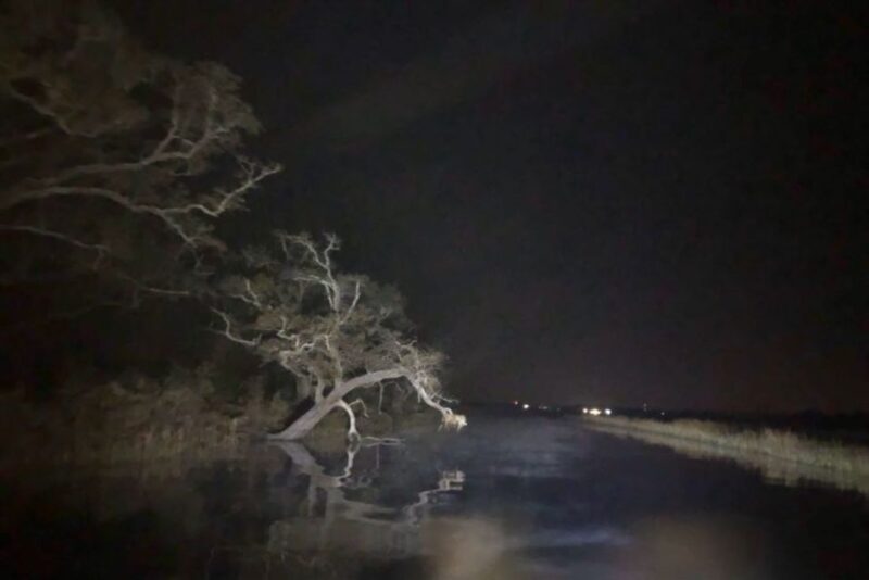 Pearlington, MS: The Haunted Bayou Cruise - Who Should Consider This Tour?