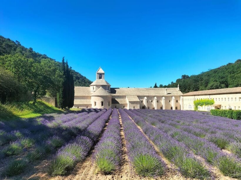 Pearls of Luberon: Gordes, Rousillon & Senanque private trip - Who Should Consider This Tour?