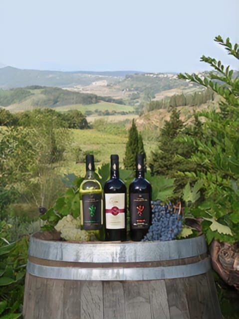 Peccioli: Wine tasting experience - Practical Details and Tips