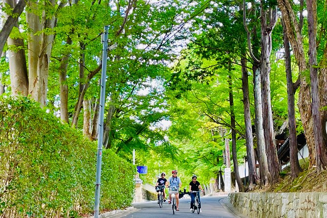 Pedal Adventure Kyotos Iconic Landmarks on an E-Bike Tour - Pedaling Through the Vibrant Fushimi Inari Shrine