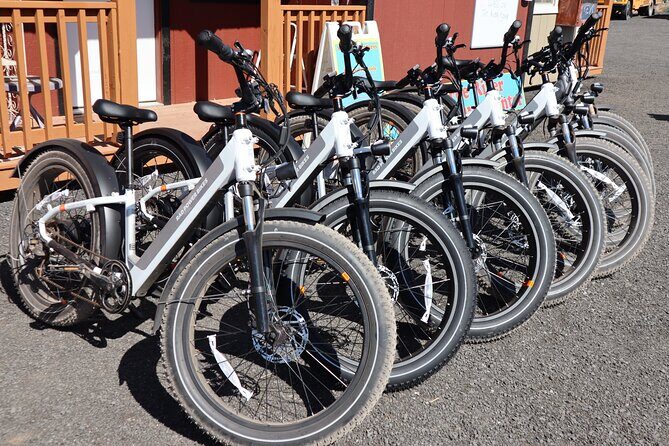 Pedal and Paddle Wine Tour in Arizona - Starting Point and Overall Structure