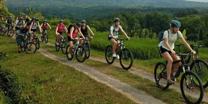 Pedal bike through rice terraces, forests and Lawang caves - Key Points