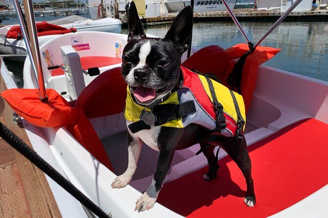 Pedal Boat rental in hidden part of San Diego Bay! Family fun - FAQs