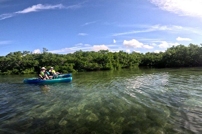 Pedal Kayak Mangrove Tunnel Tour in Bradenton - FAQ