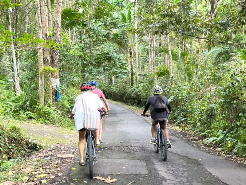 Pedal Through Paradise: Bali Wanderlust Sidemen Cycling Tour - An In-Depth Look at the Sidemen Cycling Experience