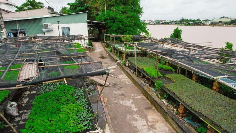 Pedaling the mekong's rural tracks - Can Tho Premium tour - What to Expect at Each Stop