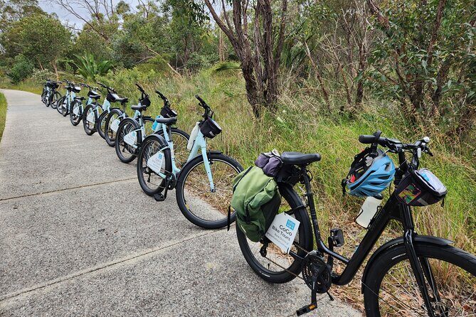 Pedals & Petals - Discovering Wildflowers Bike Tour Kings Park - The Sum Up