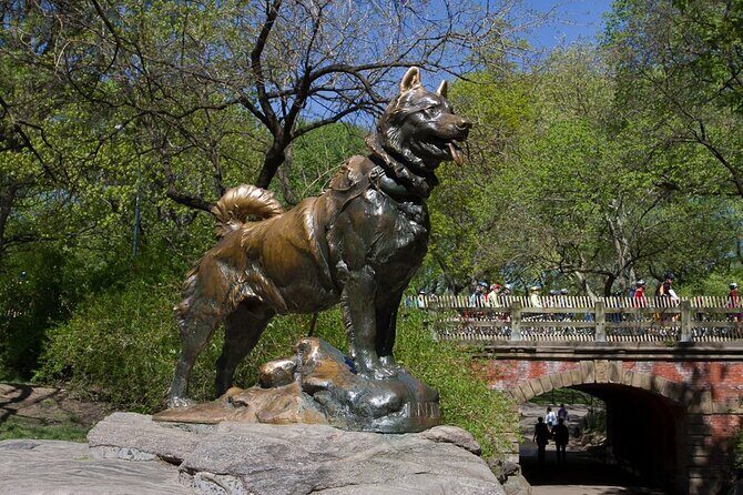 Pedicab 2 Hour Central Park Tour - Key Points