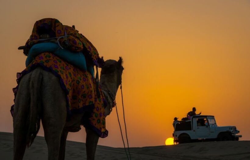 Peeps Billions of Star Experience with Desert & Camel Safari - Practical Tips for Your Desert Night