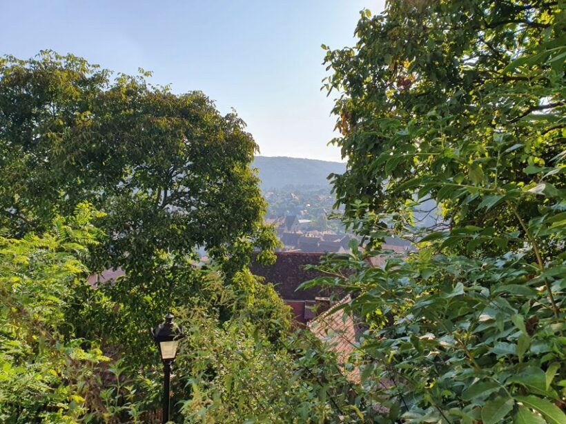 Pele Castle, Bran Castles and Brasov City - Private Tour - Brasov: The Historic Heart of Transylvania