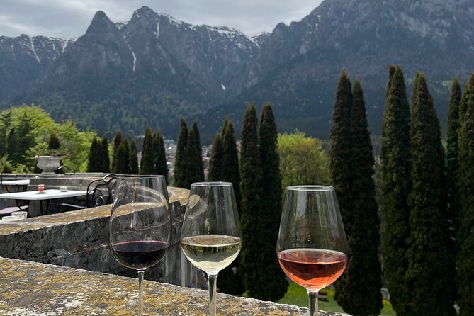 Peles & Cantacuzino Castles: Gourmet Wine & Cultural Day trip - Indulging in Traditional Romanian Snacks and Cheeses