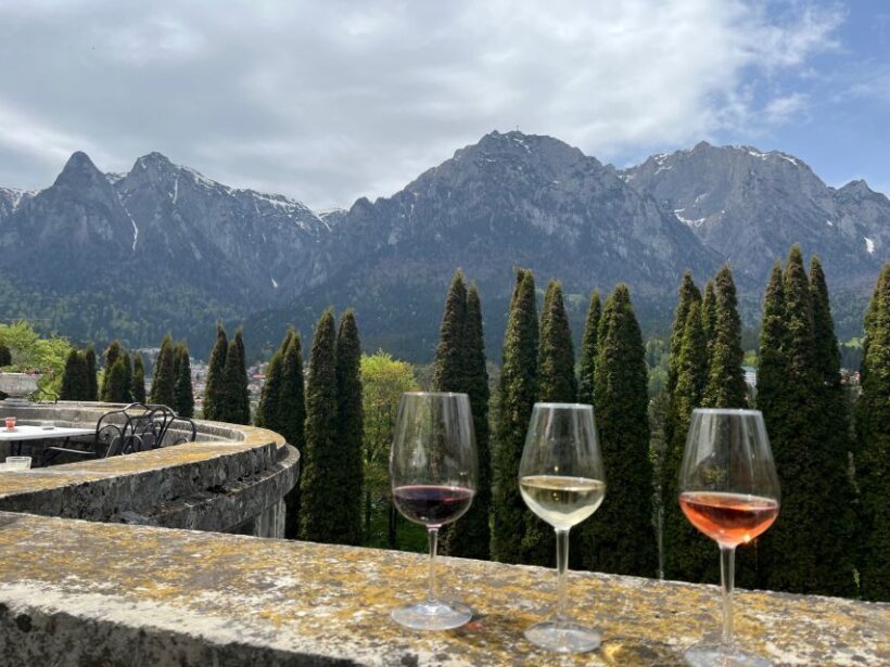 Peles & Cantacuzino Castles: Gourmet Wine & Cultural trip - What the Reviews Say