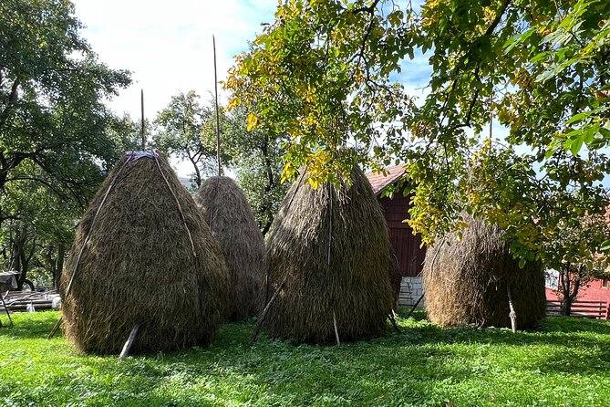 Peles castle and authentic Romanian village experience - day trip - Final Thoughts