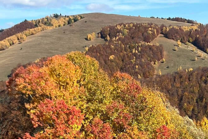 Peles castle and authentic Romanian village experience - day trip - Final Recommendation