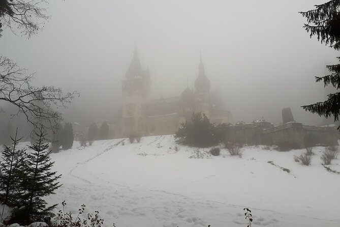 Peles Castle and Optional Cantacuzino Castle From Brasov - Traveler Experiences and Recommendations