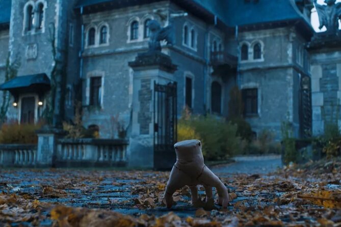 Peles Castle, Cantacuzino Castle and Bran Castle Tour From Brasov - Who Is This Tour Best Suited For?