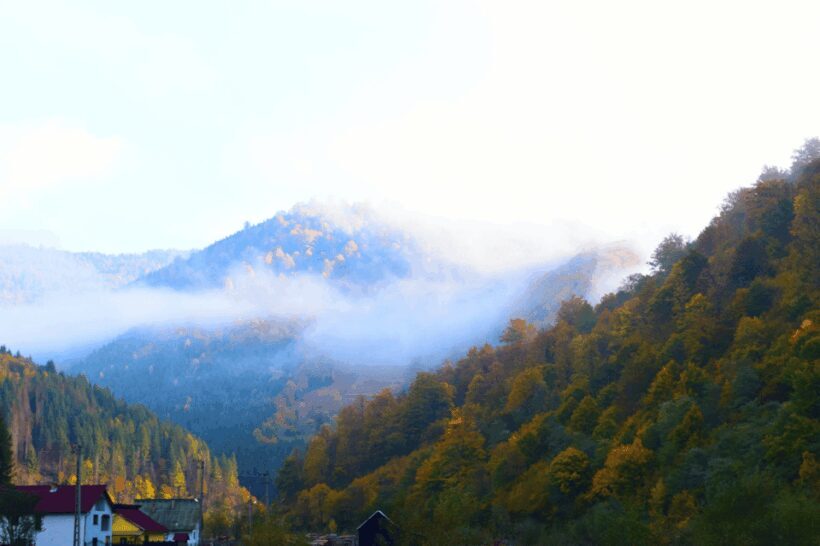 Peles Castle &Carpathian:Royal Journey Through the Mountains - Key Points