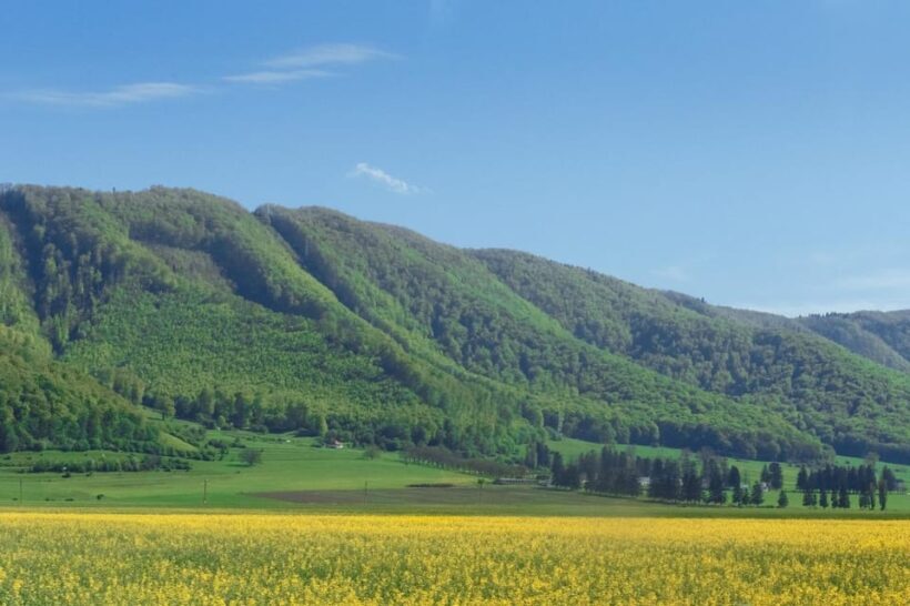Peles Castle &Carpathian:Royal Journey Through the Mountains - A Day to Remember in the Carpathians