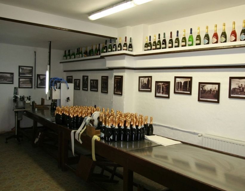 Peles Castle & Wine Tasting Tour - Full-Day from Bucharest - The Jewel in the Crown: Peles Castle