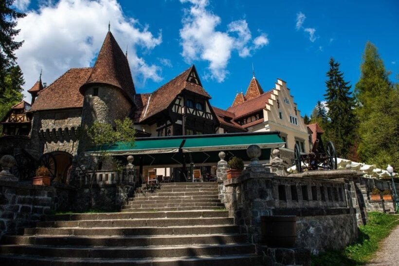 Peles Castle & Wine Tasting Tour - Full-Day from Bucharest - A Taste of Romania: Wine Tasting and Traditional Lunch