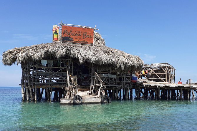 Pelican Bar south coast experience, Appleton Rum Tour and YS Falls - What Makes This Tour Stand Out?