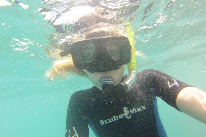 Pelican Rock Snorkeling and Sightseeing Adventure - The Sum Up