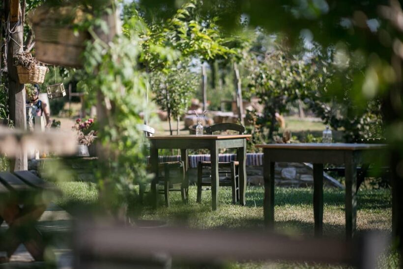 Pelion Private Nature Experience : Farm-to-Table Cooking - Key Points