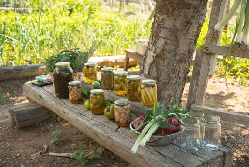 Pelion Private Nature Experience : Farm-to-Table Cooking - Analyzing the Value and Experience