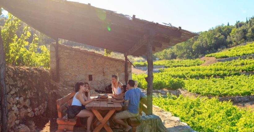 Peljeac Full-Day Wine and Food Tour from Dubrovnik - Detailed Review: Why This Tour Stands Out