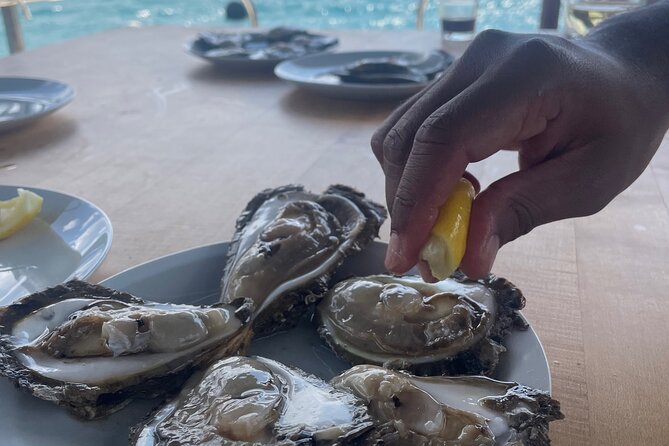 Peljeac - Wine, Oysters and Food Experience from Dubrovnik - Final Thoughts