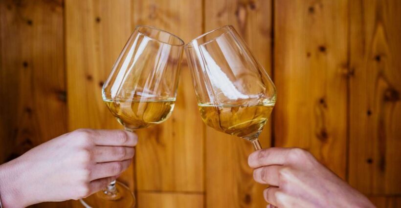 Peljeac wine tasting and local winery visit - A Walkthrough of the Experience