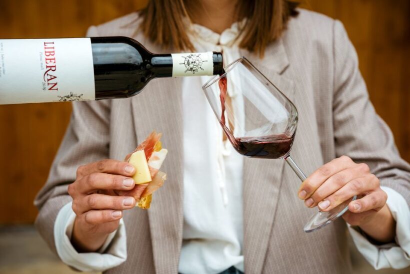 Peljeac wine tasting and local winery visit - The Sum Up