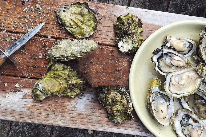 Peljesac Wine & Ston Oysters PRIVATE HALF DAY SHORE TOUR - What’s Included and What’s Not