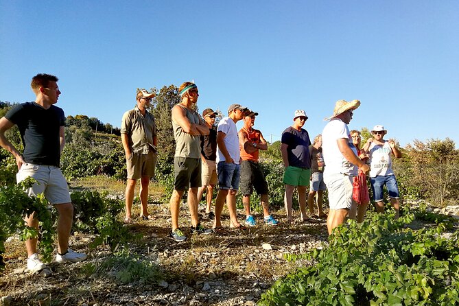 Peljesac&Ston Small-Group Food & Wine Experience From Dubrovnik - Inclusions and Logistics of the Tour