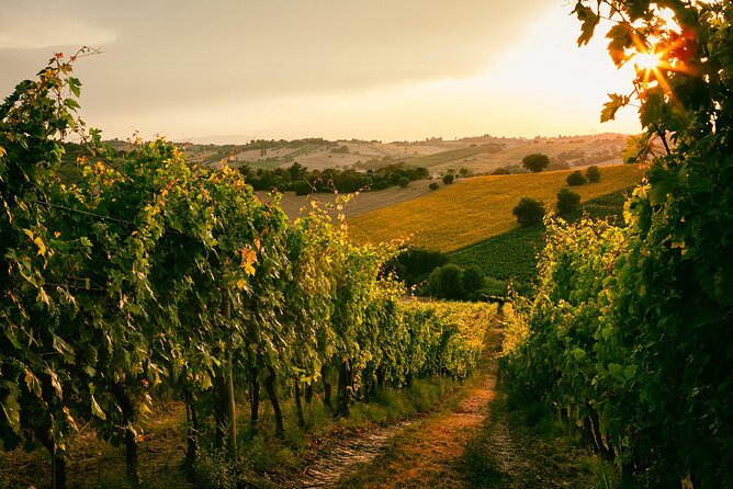 Peloponnesian Delights: Nemea Wines & Nafplio's Beauty - A Closer Look at the Itinerary