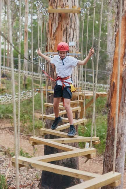 Pemberton: 1 Hour Explorer Pass with Ziplines and High Ropes - Pemberton: 1 Hour Explorer Pass with Ziplines and High Ropes — a Practical Overview