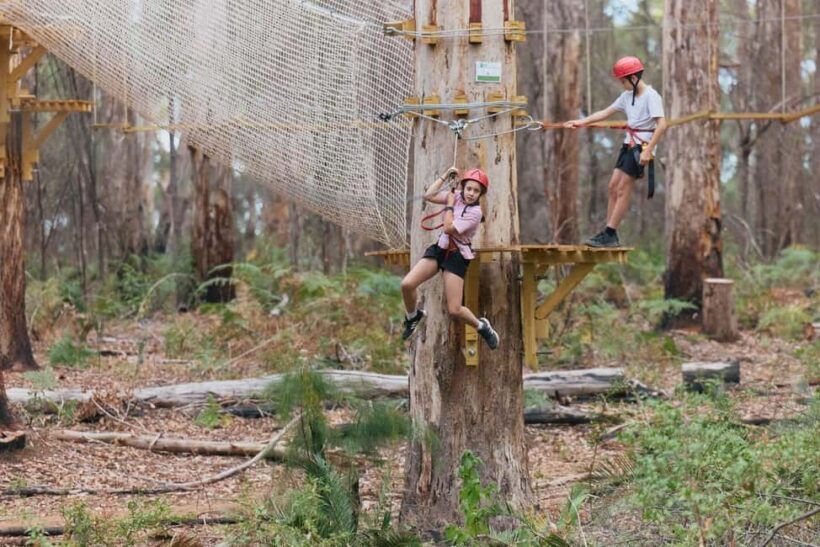 Pemberton: 1 Hour Explorer Pass with Ziplines and High Ropes - Key Points