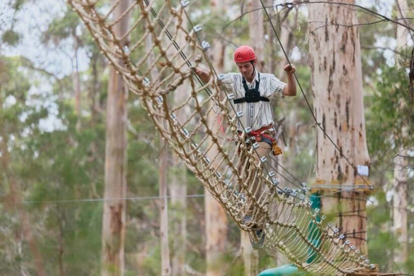 Pemberton: 2.5h Ultimate Ziplines & High Ropes Experience - Key Points