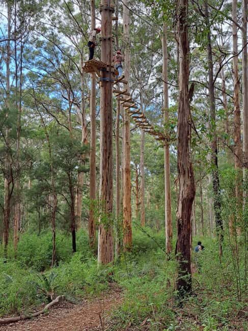 Pemberton: 2.5h Ultimate Ziplines & High Ropes Experience - Who Should Consider This Tour?