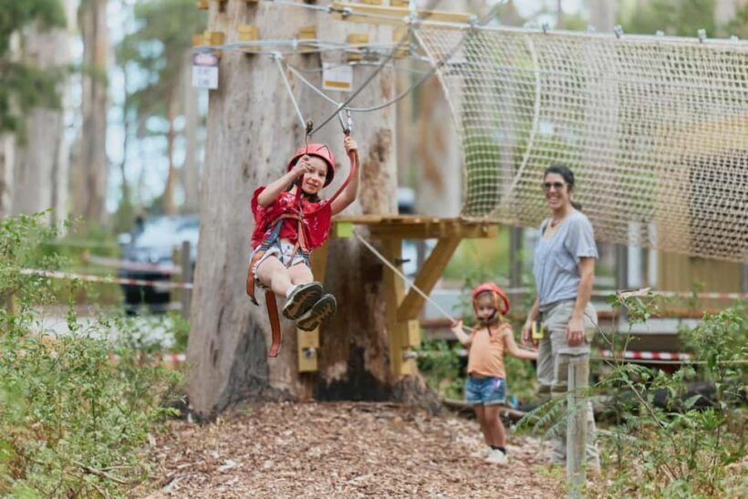 Pemberton: 40 minute Kookies Pass with Zip Lines & Low Ropes - Key Points
