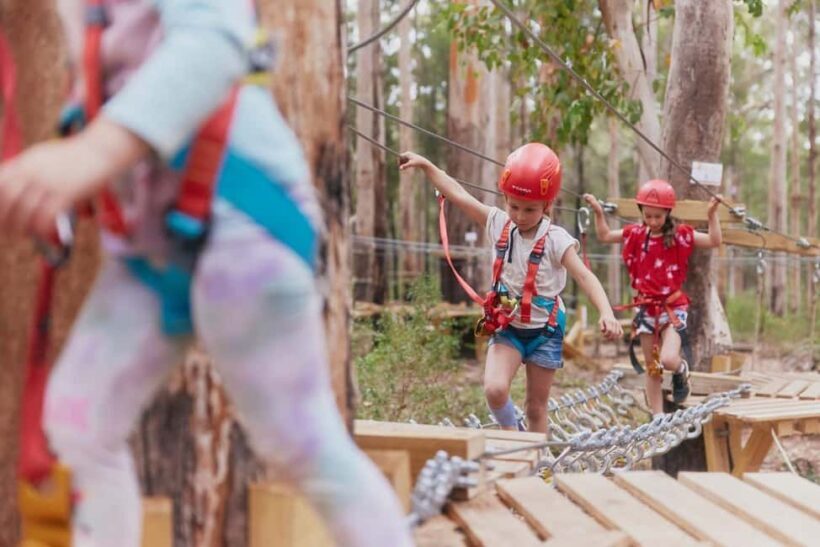 Pemberton: 40 minute Kookies Pass with Zip Lines & Low Ropes - What to Expect on the Day