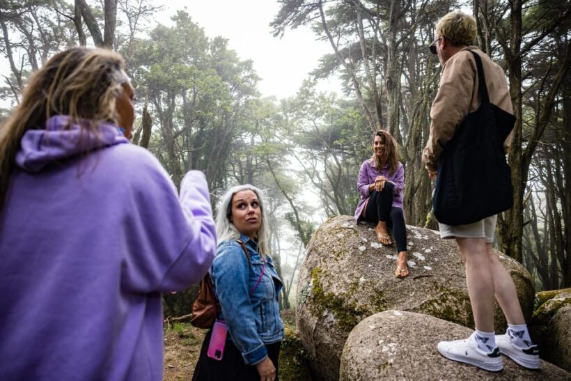 Pena Palace, Moorish Castle,Quinta ad Regaleira:Walking tour - Who Would Love This Tour?