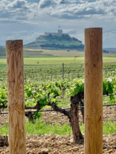 Peñafiel . Visita privada Castillo y casco Histórico - An In-Depth Look at the Peñafiel Private Tour