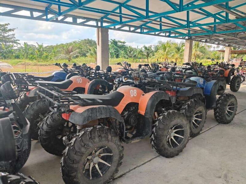 Penang: ATV Ride in Balik Pulau with Snacks and Transfers - Review Insights and Traveler Feedback
