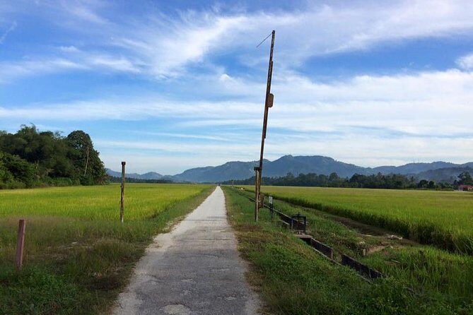 Penang Balik Pulau Countryside Morning Cycling Tour - Key Points
